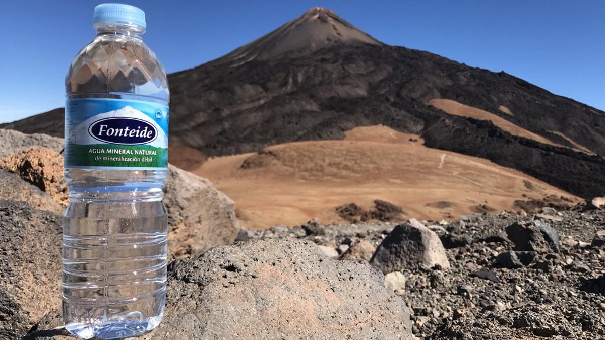 Las claves del éxito de Fonteide en las redes sociales: Un análisis ...